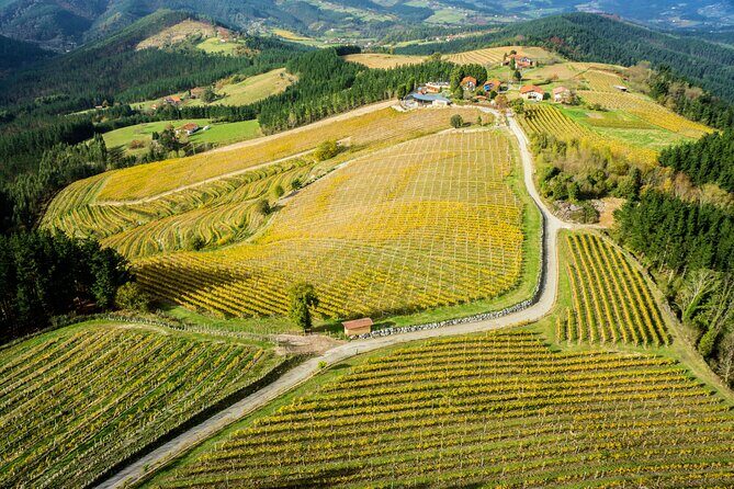 Organic Winery Visit with Tasting in Bilbao - Is It Worth the Price?