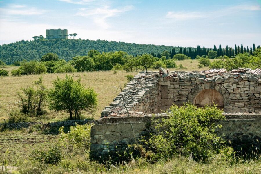 Organized tour from Bari to Castel del Monte - The Panorama and the Surroundings