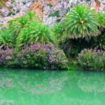 Original Crete: Kourtaliotis, Preveli, Plakias, Argyroupoli - Authentic Experiences & Honest Insights