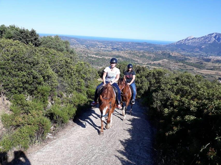 Orosei: horse riding on the beach - What Past Participants Say