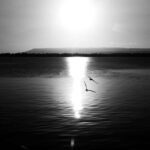 Ortigia: Photographic tour with personal photographer - Who Should Book This Experience?