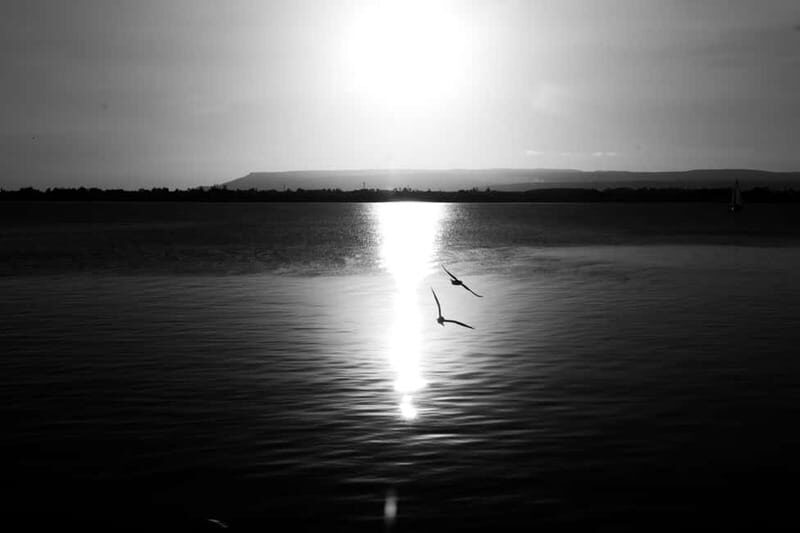 Ortigia: Photographic tour with personal photographer - Who Should Book This Experience?
