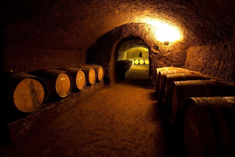 Orvieto: Tour and wine tasting at Tenuta Le Velette - Who Should Consider This Tour?