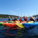 Oslo: 3-hour Kayaking Trip on the Oslofjord - Why This Kayaking Tour Stands Out