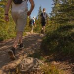 Oslo: Local Forest Cabin, Fresh Pastries and Lake Swim - Final Thoughts