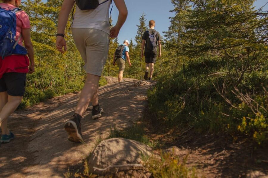 Oslo: Local Forest Cabin, Fresh Pastries and Lake Swim - Final Thoughts