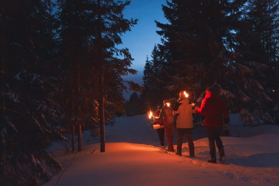 Oslo: Snowy Forest Torchlight Walk with Campfire - What Makes This Tour Special
