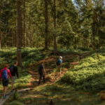 Oslo: The Magical Norwegian Woods Tour - Breaking Down the Itinerary