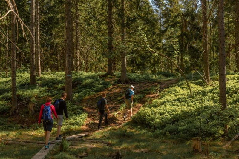 Oslo: The Magical Norwegian Woods Tour - Breaking Down the Itinerary
