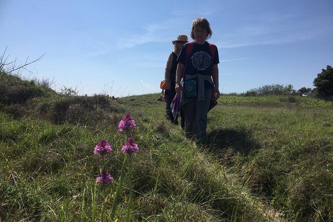 Otranto Trekking Adventure: The Path of the Hermit and the Bay of the Turks - Introduction