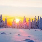 Ounasvaara and Ranua Zoo - FAQs
