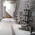 Our magnificent Douro Valley - The Vineyards: What to Expect