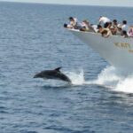 Ouranoupoli : Mount Athos 3hours guided tour - The Itinerary in Detail