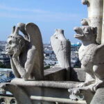 Outside Notre-Dame & Île de la Cité Tour with Crypt Access - Who Will Love This Tour?