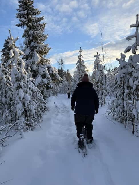 Överkalix: Full-Day Snowshoeing Tour with Outdoor Lunch - The Itinerary: What to Expect