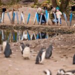 Overloon: ZooParc Entrance Ticket - What You Can Expect at ZooParc Overloon