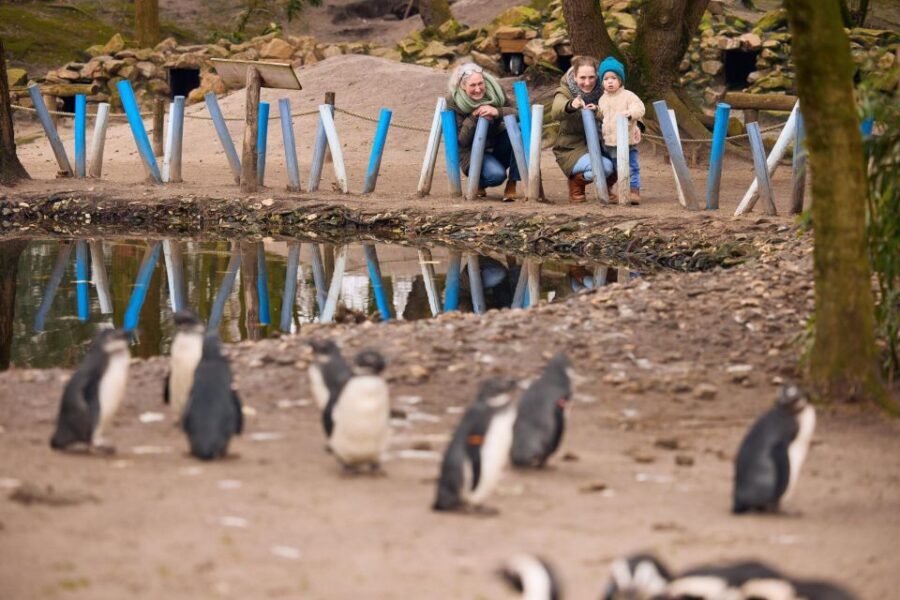Overloon: ZooParc Entrance Ticket - What You Can Expect at ZooParc Overloon