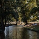 Oxford: Punting Tour on the River Cherwell - What to Expect During Your Punting Experience