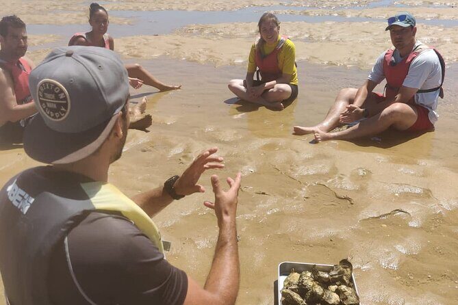 Oyster Sensations - A Deep Dive into What You Can Expect