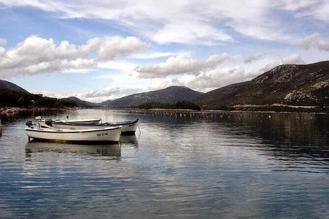 Oysters and mussels tasting with wine in Ston and Peljeac - A Closer Look at the Itinerary