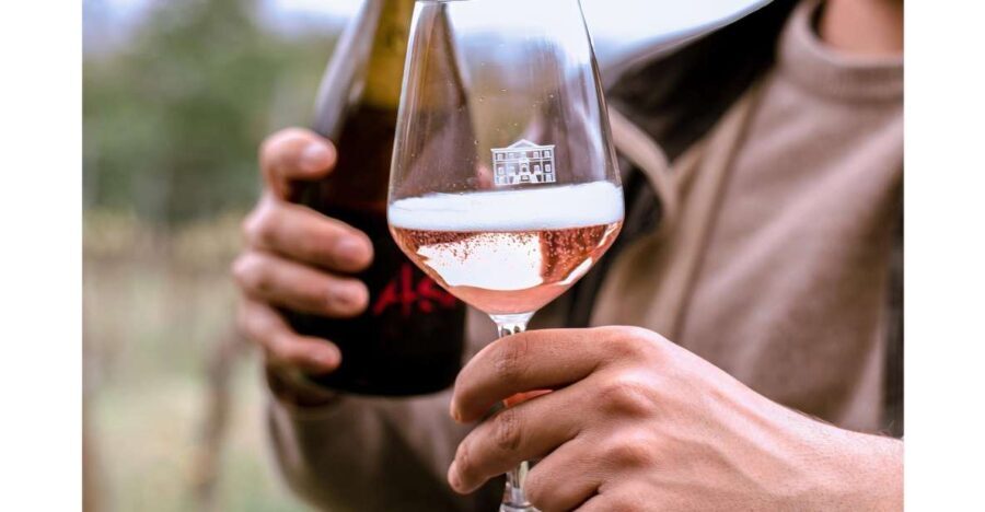 Ozzano Emilia: Guided Cellar Walking Tour with Wine Tasting - Who Will Love This Tour?
