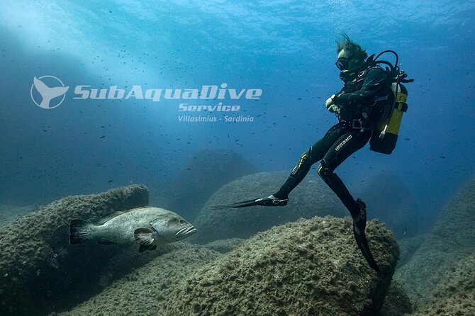Package of 4 single dives to the Capo Carbonara Marine Protected Area - Key Points