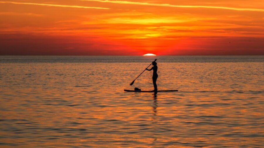 Paddle Board Rental: Glide on the Water with Ease - The Experience: What to Expect