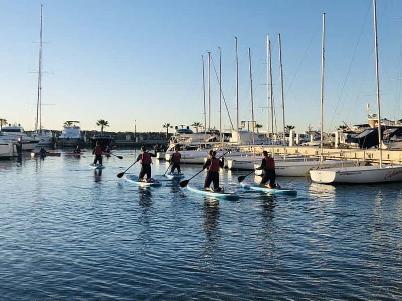 Paddle surf excursion - Why You’ll Love This Paddle Surf Excursion