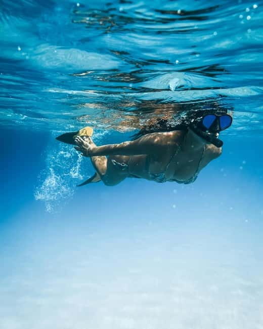 Paddle Surf & Snorkeling Experience in Playa de las Américas - Whats Included and Whats Not?