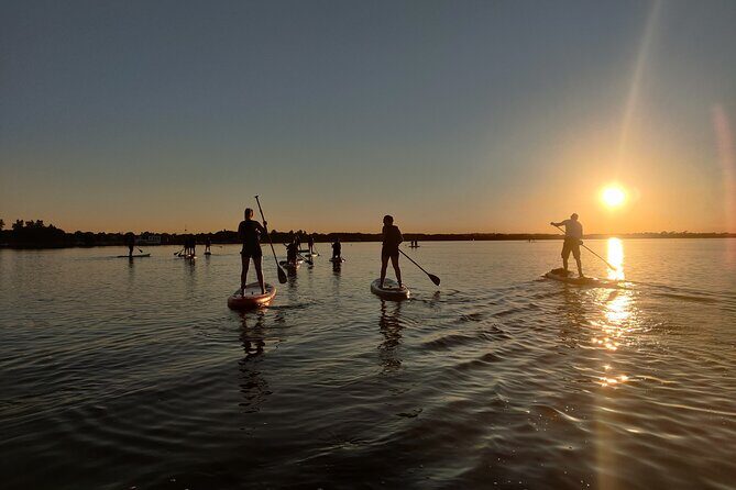 Paddleboarding in Dublin - A Well-Structured Learning and Leisure Session