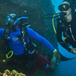 PADI Discover Scuba Diving Los Cancajos La Palma - Why the Guides Make a Difference