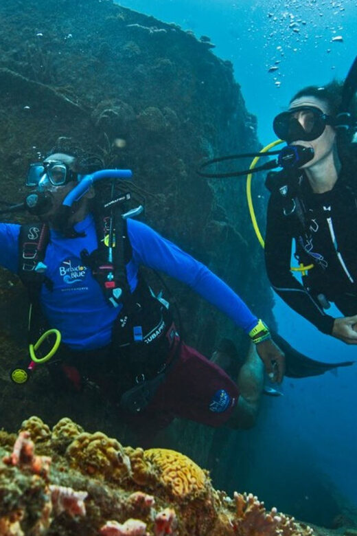 PADI Discover Scuba Diving Los Cancajos La Palma - Why the Guides Make a Difference