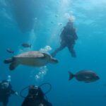 PADI Open Water Course in 3 Days - What the Course Includes and What to Expect
