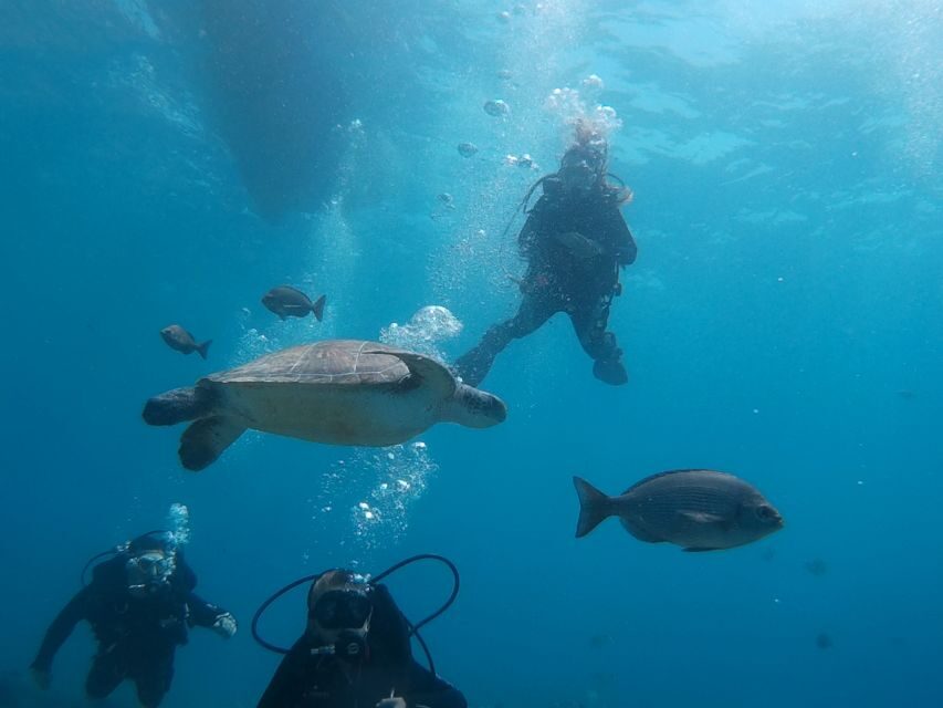 PADI Open Water Course in 3 Days - What the Course Includes and What to Expect