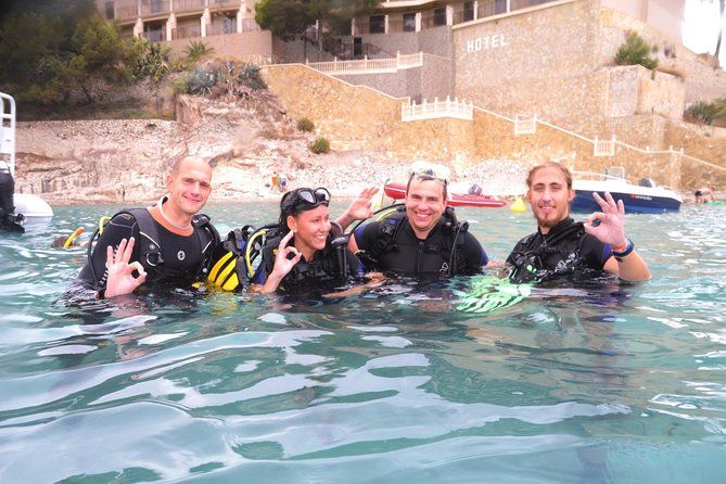 PADI Scuba Diver Course in Puerto de Mogan - Key Points