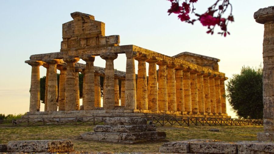 Paestum: 2-Hour Greek Temples & Archaeological Museum - What You Can Expect From the Tour