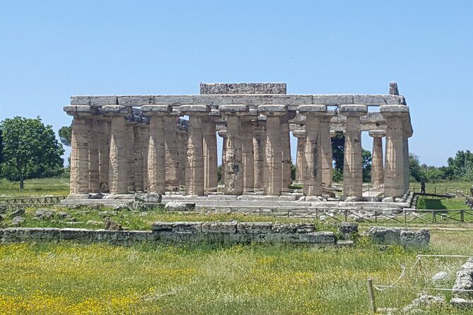 Paestum and Dairy day tour from Naples - The National Archaeological Museum of Paestum
