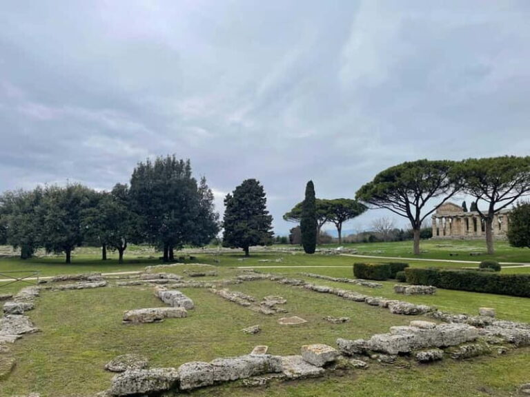 Paestum for cruise passengers - The Rich Details of the Itinerary