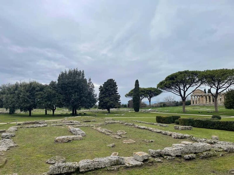Paestum for cruise passengers - The Rich Details of the Itinerary