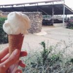 Paestum Traditions, Buffaloes, Ceramics, Temples - Practical Details and Value