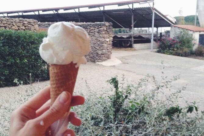 Paestum Traditions, Buffaloes, Ceramics, Temples - Practical Details and Value