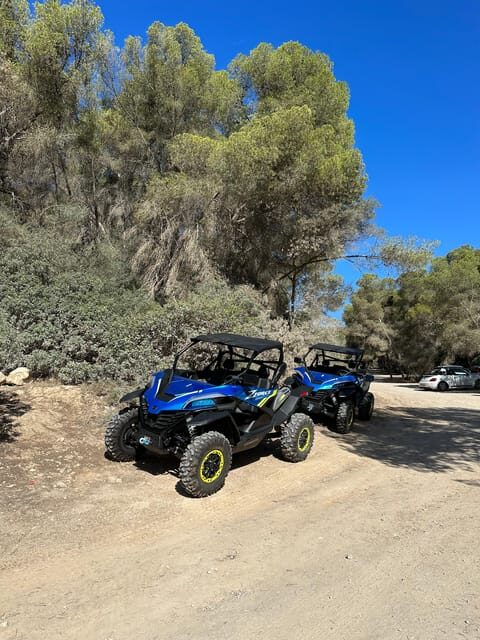 Paguera: 2 Hour Buggy Tour - Discovering Mallorca on the Buggy