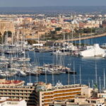 Paguera or Santa Ponsa: Speedboat Cruise to Palma - What to Expect During the Day