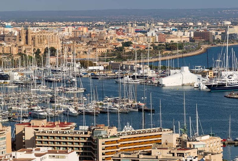 Paguera or Santa Ponsa: Speedboat Cruise to Palma - What to Expect During the Day