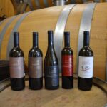 Pagus Wine Tours® - Two Amarone wineries - Half day wine tour - The Sum Up: Who Will Love This Tour?