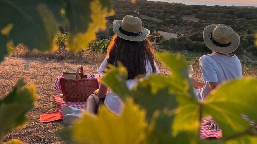 Palau: picnic in a Gallura estate - Practical Details and Tips