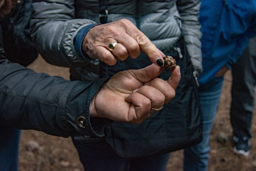 Palazzolo Acreide: Truffle Hunting with Lunch and Wine - The Culinary Corner: Turning Truffle Into a Feast