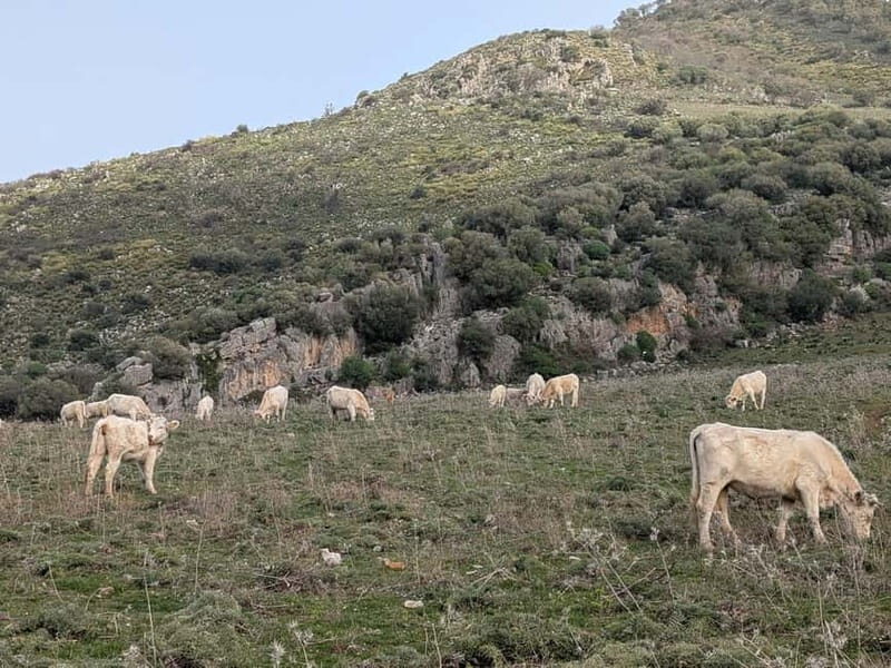 Palermo: Between Sea and Mountains; an off-road bike day trip - The Value and Practicalities