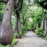 Palermo: Botanical Garden Entry Ticket and Palermo Audio App - The Sum Up: Who Is This Experience For?