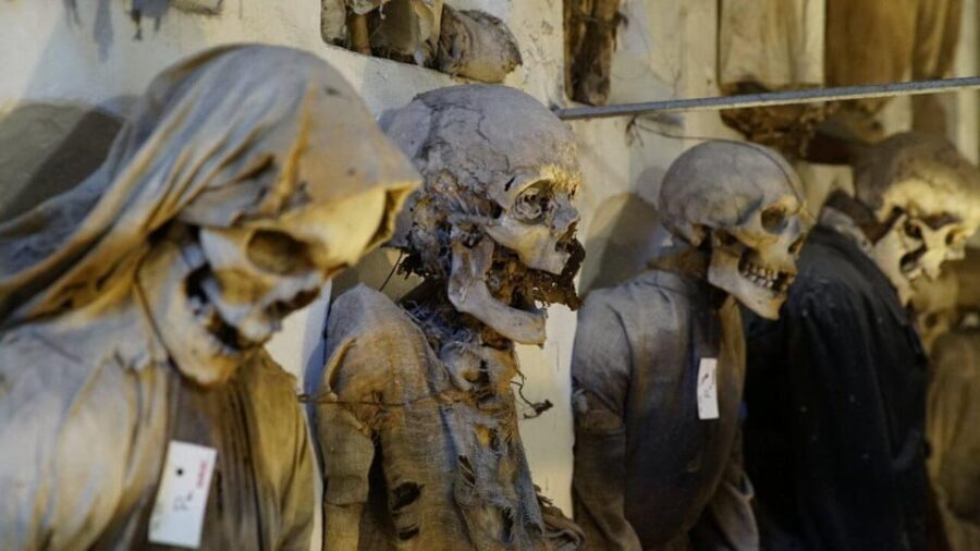 Palermo: Monreale, Catacombs and S. Giovanni degli Eremiti - What’s Included and What to Expect